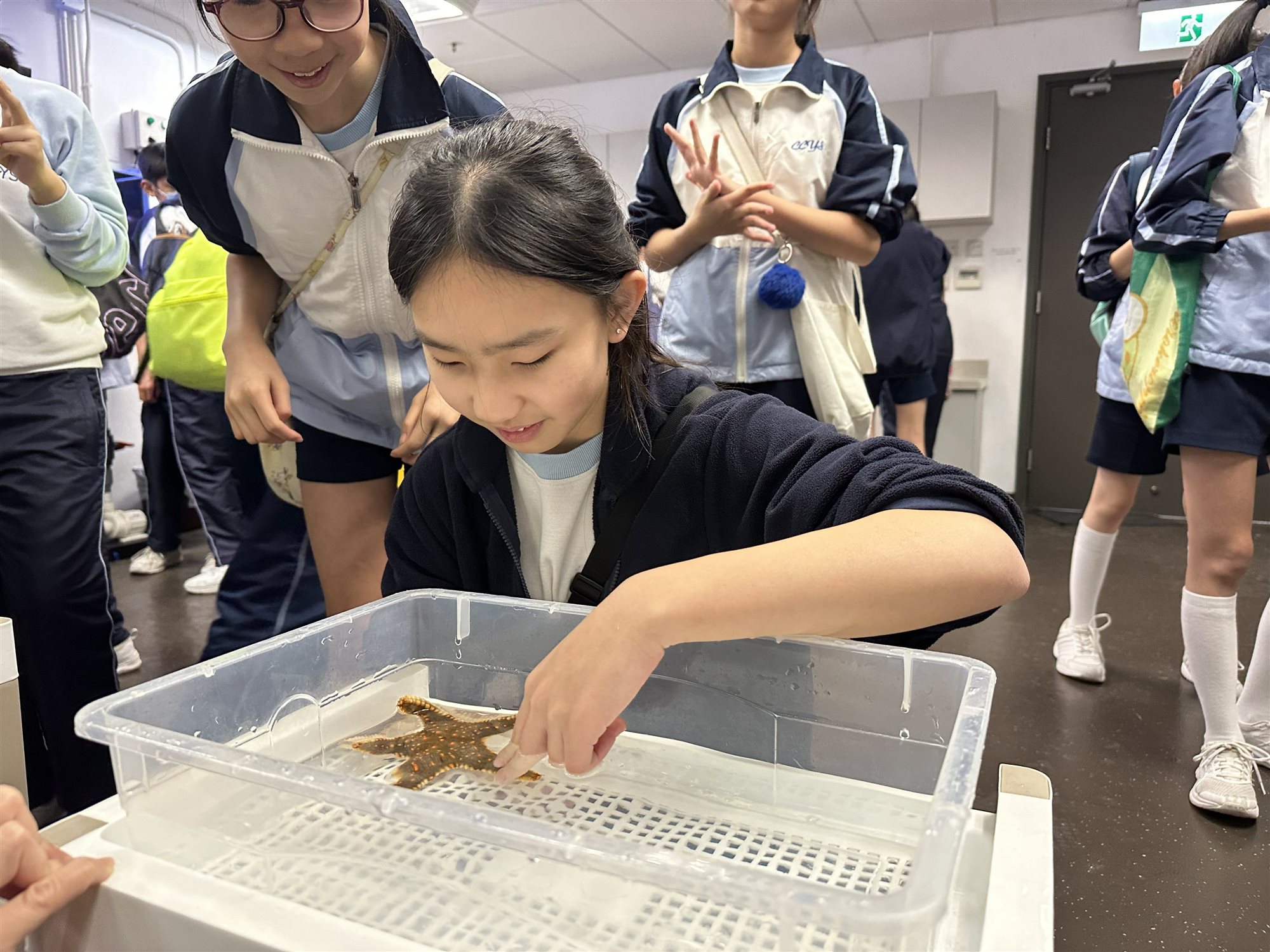 P6 Experiential Learning Activity